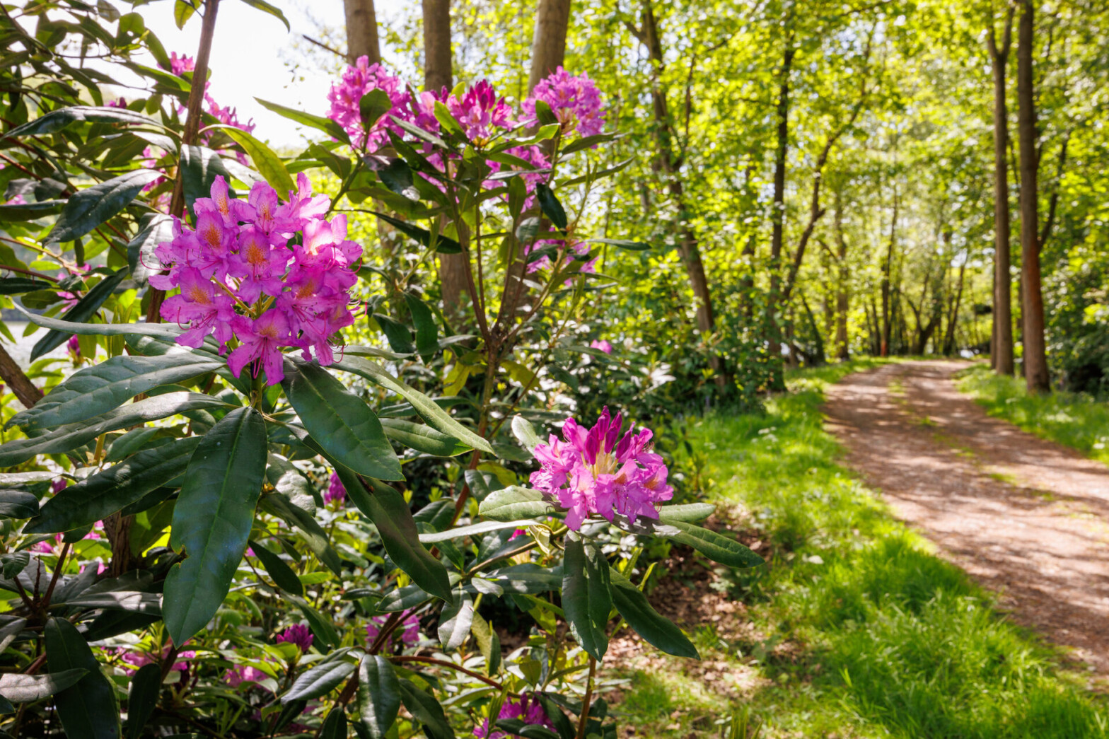 Lodders Solicitors | Warwickshire, Birmingham and the South West