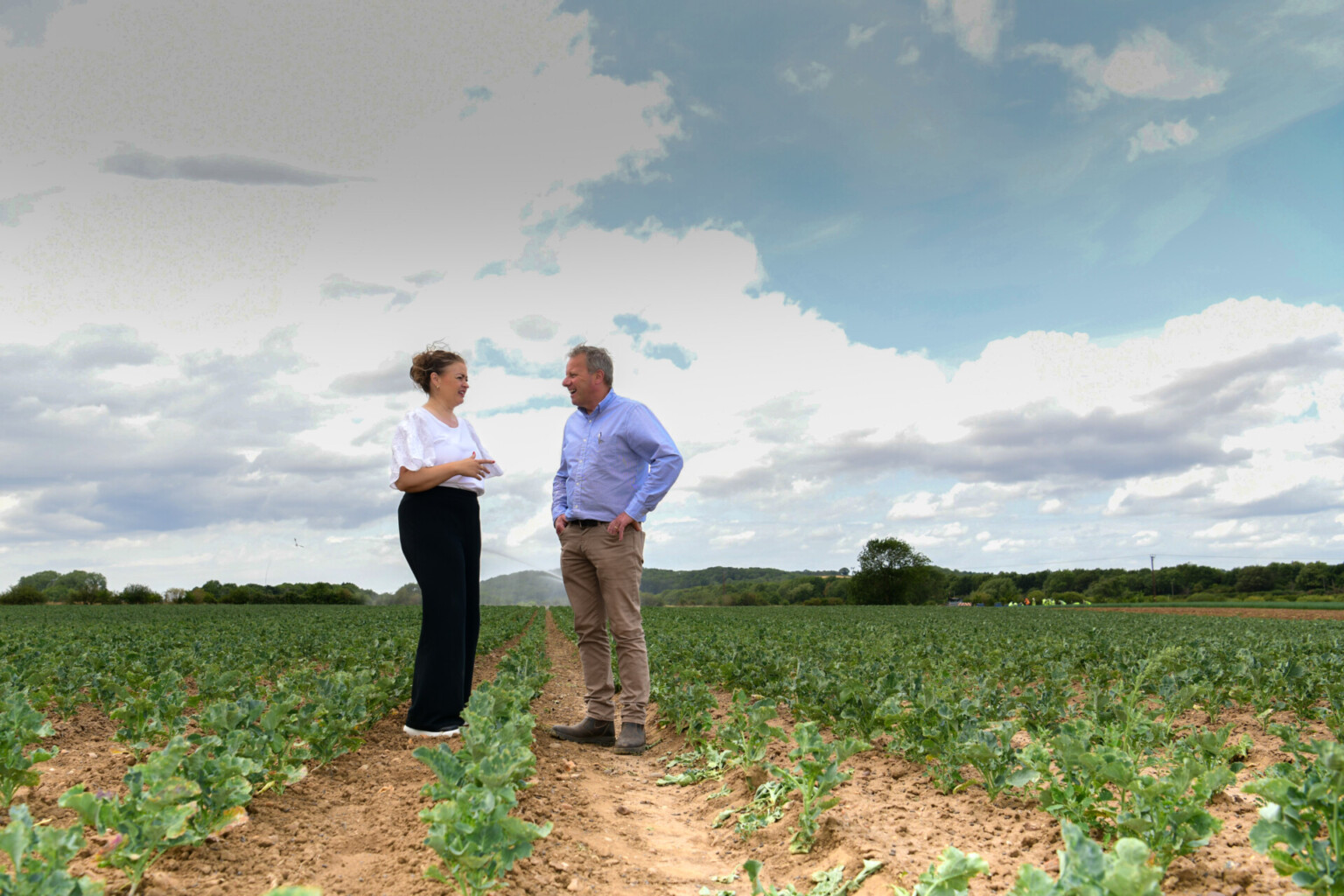 What is the Office of the Public Guardian (OPG)? - Lodders Solicitors
